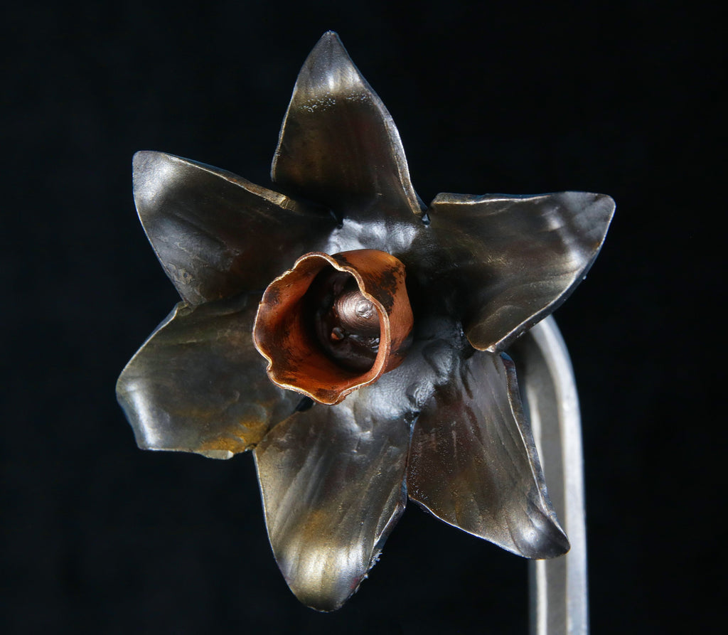Forged Gloucester Daffodil – The Village Blacksmith
