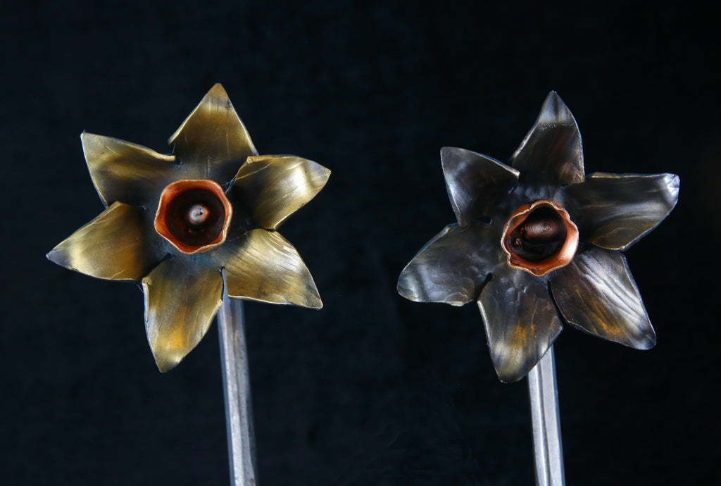 Forged Gloucester Daffodil – The Village Blacksmith