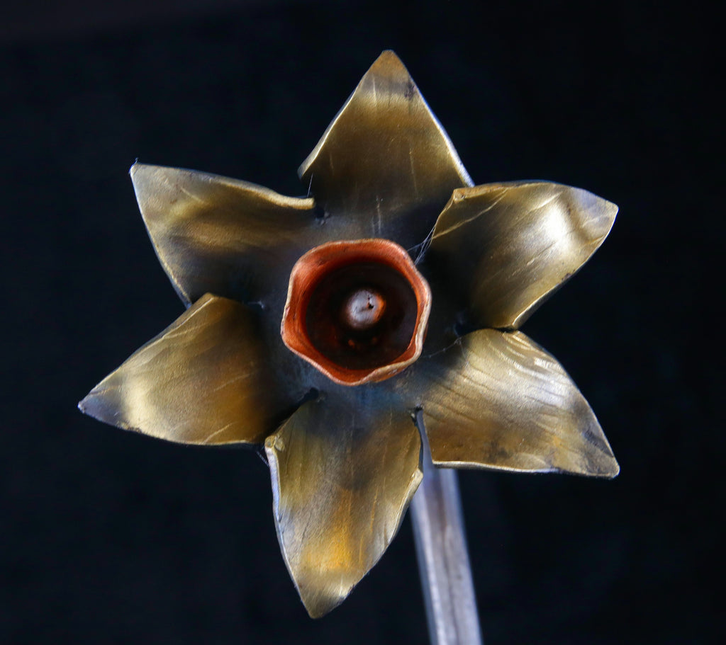 Forged Gloucester Daffodil – The Village Blacksmith