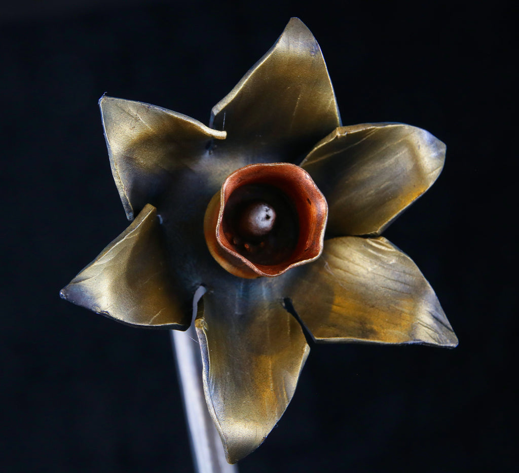 Forged Gloucester Daffodil – The Village Blacksmith